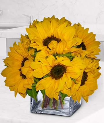 Flowers for Veterans Day | Flower World York